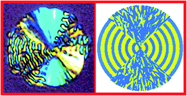 Synchronous architecture of ring-banded and non-ring-banded morphology ...