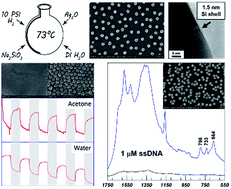 One-step synthesis and applications of highly concentrated silver ...