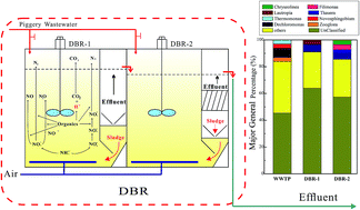 Efficient and microbial communities for pollutant removal in a ...