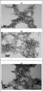 Synthesis of tin oxide activated by DAN grafting and Mo nanoparticle ...