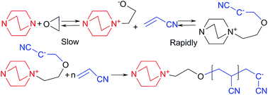 Initiation of anionic polymerization of acrylonitrile with tertiary ...