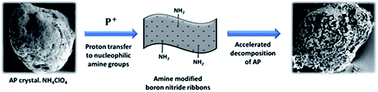 Effect of amine-modified boron nitride (BN) on ammonium perchlorate ...
