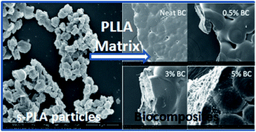 Fully biobased robust biocomposites of PLA with assisted nucleation by ...