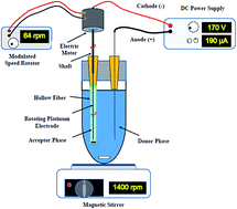 Rotating electrode in electro membrane extraction: a new and efficient ...