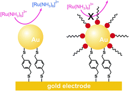 A gold nanoparticle chemically modified gold electrode for the ...