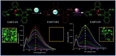 Promising ESIPT-based fluorescence sensor for Cu2+ and CN− ions: investigation towards logic ...