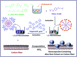 Simultaneous encapsulation and stabilization of Aloe vera extract on ...