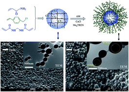 Preparation of polyacrylamide microspheres with core–shell structure via surface-initiated atom ...