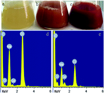 Enhanced conversion and stability of biosynthetic selenium ...