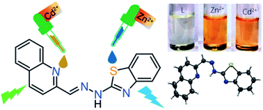 Benzothiazole based multi-analyte sensor for selective sensing of Zn2+ and Cd2+ and subsequent ...