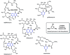 Semi-synthetic zwitterionic rifamycins: a promising class of ...
