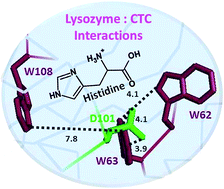 Imidazole derivatives differentially destabilize the low pH ...