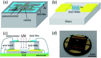 Heterogeneous sensors of pressure sensor and ultraviolet photodetector ...
