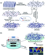 Nitrogen doped graphene supported α-MnO2 nanorods for efficient ORR in ...