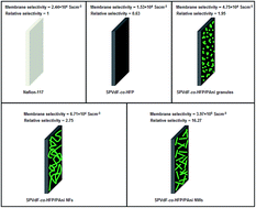 Polyaniline nanowhiskers induced low methanol permeability and high ...