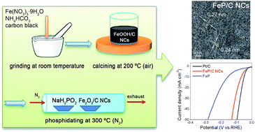 High-efficiency hydrogen evolution reaction catalyzed by iron phosphide ...