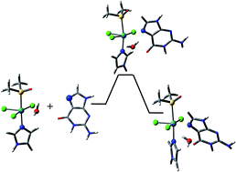 Mechanisms of reactions of Ru(iii)-based drug NAMI-A and its aquated ...