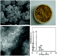 Facile synthesis of silver nanoparticles deposited on a calcium ...