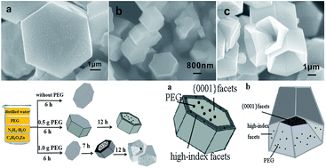 Adjusting the proportions of {0001} facets and high-index facets of ZnO ...