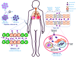 Bovine serum albumin as a nanocarrier for the efficient delivery of ...