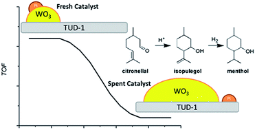 Synthesis, characterization and performance of bifunctional catalysts ...