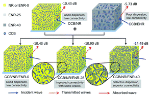 Compatibility-tuned distribution of nanoparticles in co-continuous ...