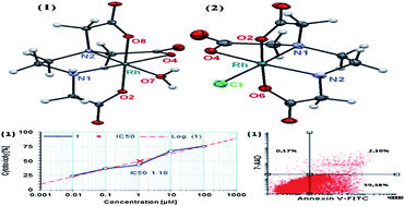 Synthesis, structural analysis, solution equilibria and biological ...