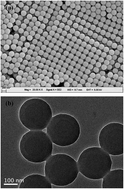 Polystyrene core–silica shell composite particles: effect of mesoporous ...
