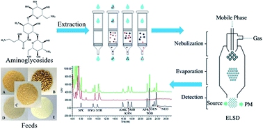 Simultaneous determination of aminoglycoside antibiotics in feeds using ...