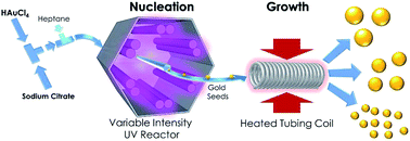 Continuous flow synthesis of citrate capped gold nanoparticles using UV ...