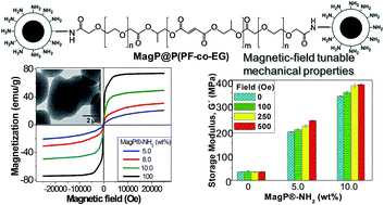 Magnetic Fe3O4@poly(propylene fumarate-co-ethylene glycol) core–shell ...