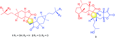 Dicarabrol A, dicarabrone C and dipulchellin A, unique sesquiterpene ...