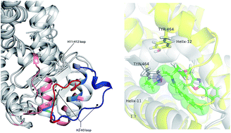 The molecular mechanism of hPPARα activation - RSC Advances (RSC ...