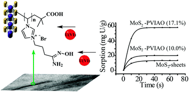 Amidoximated poly(vinyl imidazole)-functionalized molybdenum disulfide ...