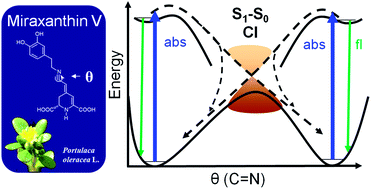 Photophysical properties of betaxanthins: miraxanthin V – insight into ...
