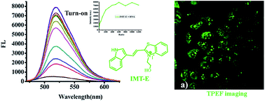 Turn-on fluorescent probes that can light up endogenous RNA in nucleoli ...
