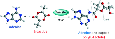 Adenine as an organocatalyst for the ring-opening polymerization of ...