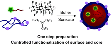 Readily accessible multifunctional fluorous emulsions - Chemical ...