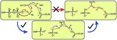 The GTPase hGBP1 converts GTP to GMP in two steps via proton shuttle ...