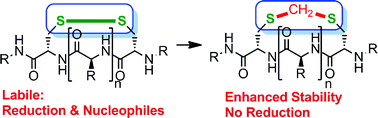 Converting disulfide bridges in native peptides to stable methylene ...