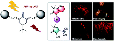 Keto-polymethines: a versatile class of dyes with outstanding ...