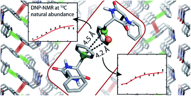 Welcoming natural isotopic abundance in solid-state NMR: probing π ...
