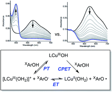 Reactivity of the copper(iii)-hydroxide unit with phenols - Chemical ...