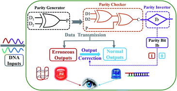 A DNA-based parity generator/checker for error detection through data ...