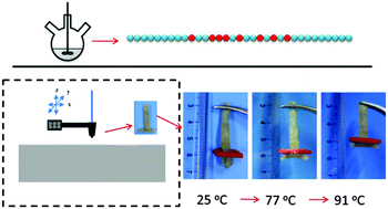 Multi-shape memory polymers achieved by the spatio-assembly of 3D ...