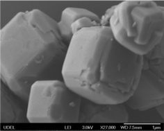 Rheology of cubic particles suspended in a Newtonian fluid - Soft ...