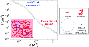 Small angle neutron scattering contrast variation reveals ...