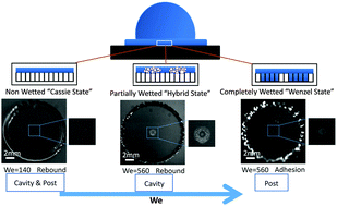 Dynamics of high Weber number drops impacting on hydrophobic surfaces ...