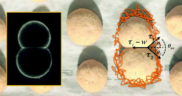 Cell-sized liposome doublets reveal active tension build-up driven by ...