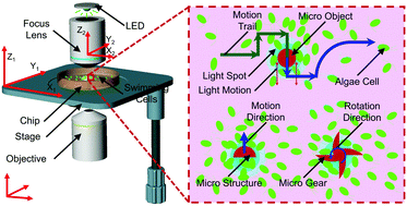 Bio-syncretic tweezers actuated by microorganisms: modeling and ...